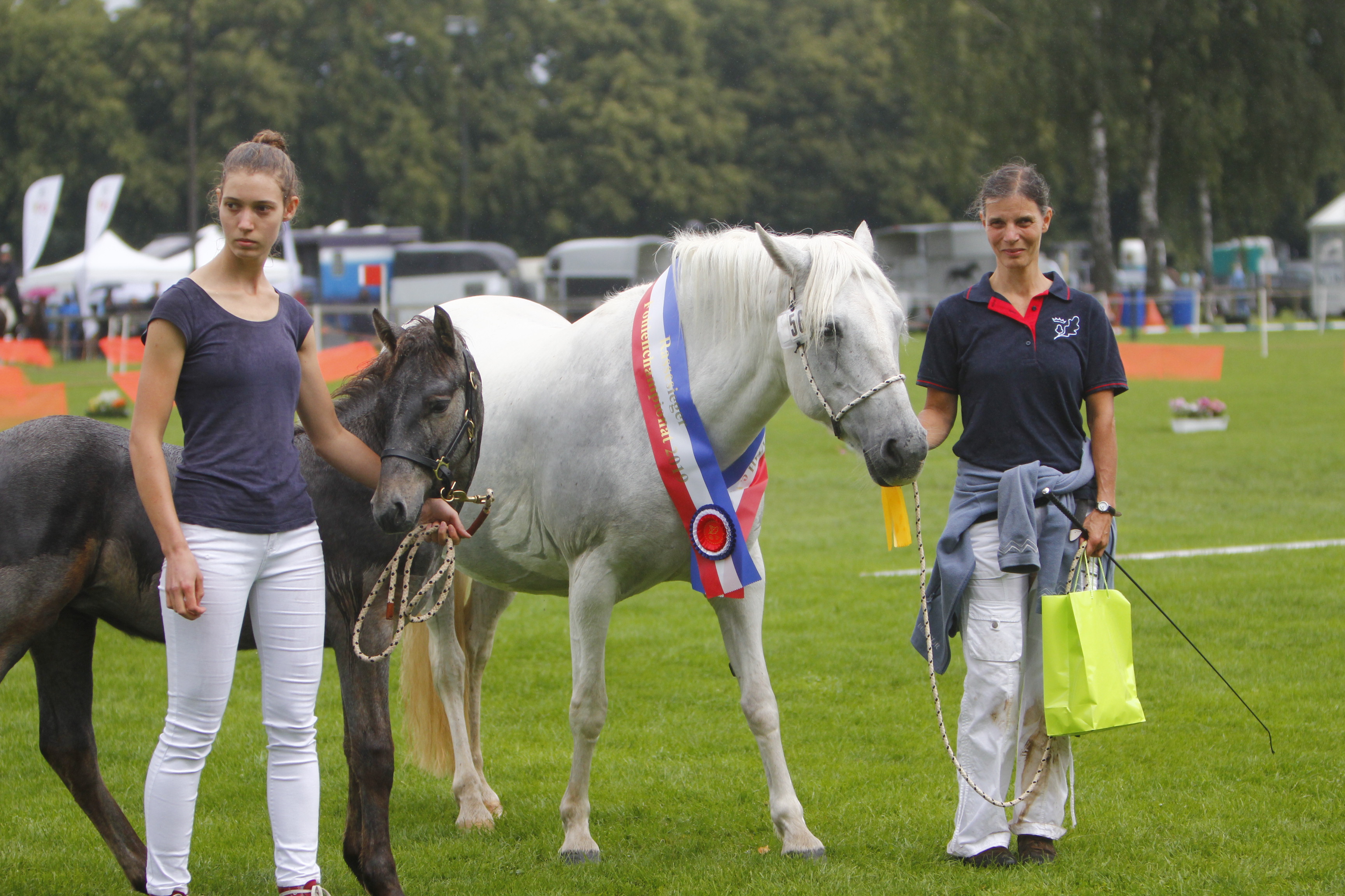 Tolle Fohlen beim Championat